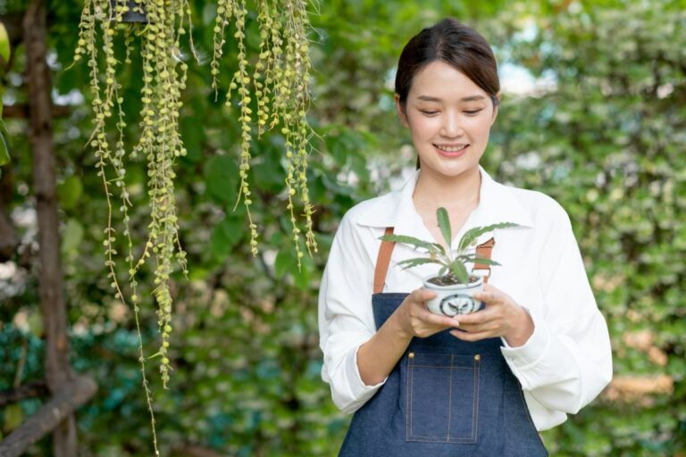 A Guide to Choosing a Plant Supplier in the Philippines